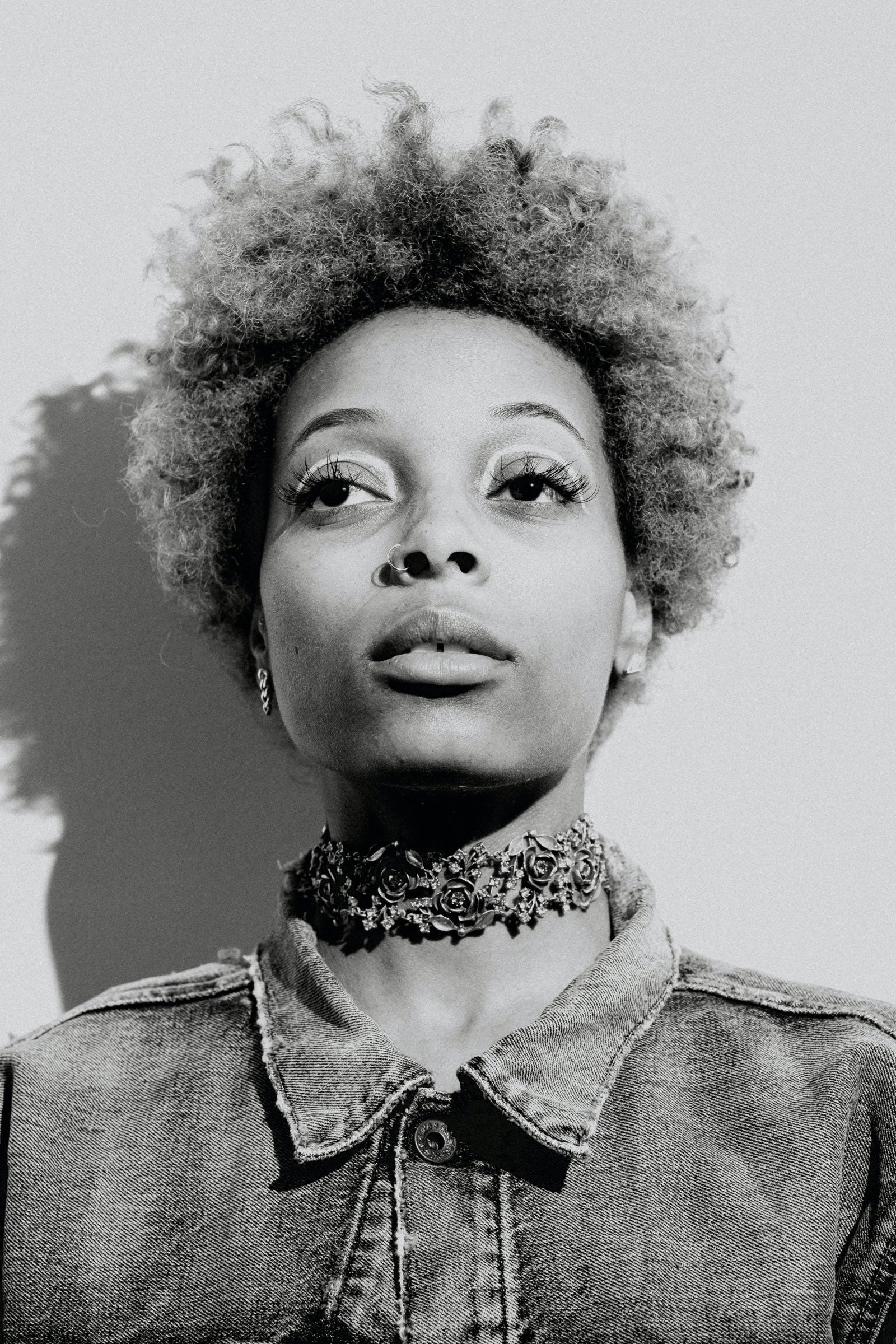 DEATH TO STOCK® - Access our trending visual universe