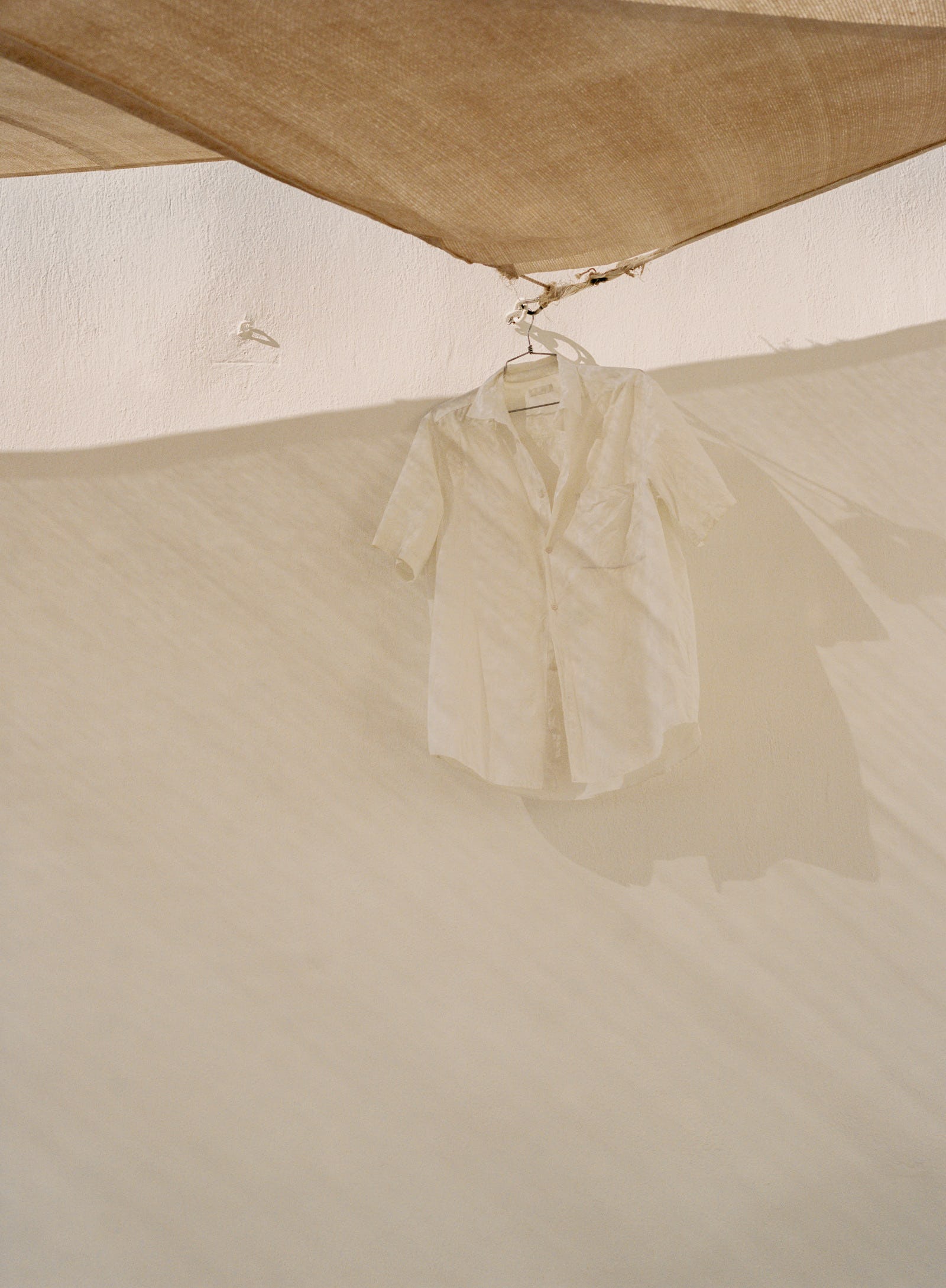 DEATH TO STOCK® - Access our trending visual universe