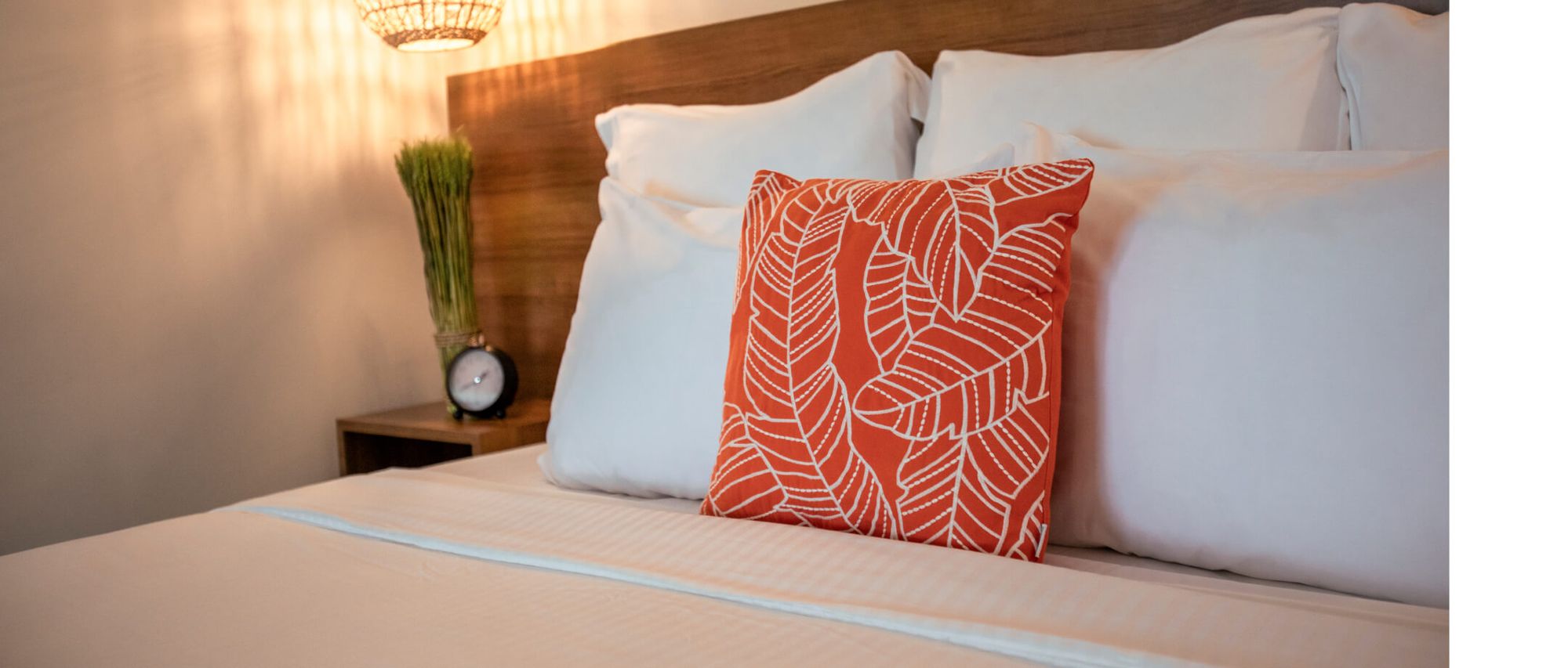 Playa Collection Suite