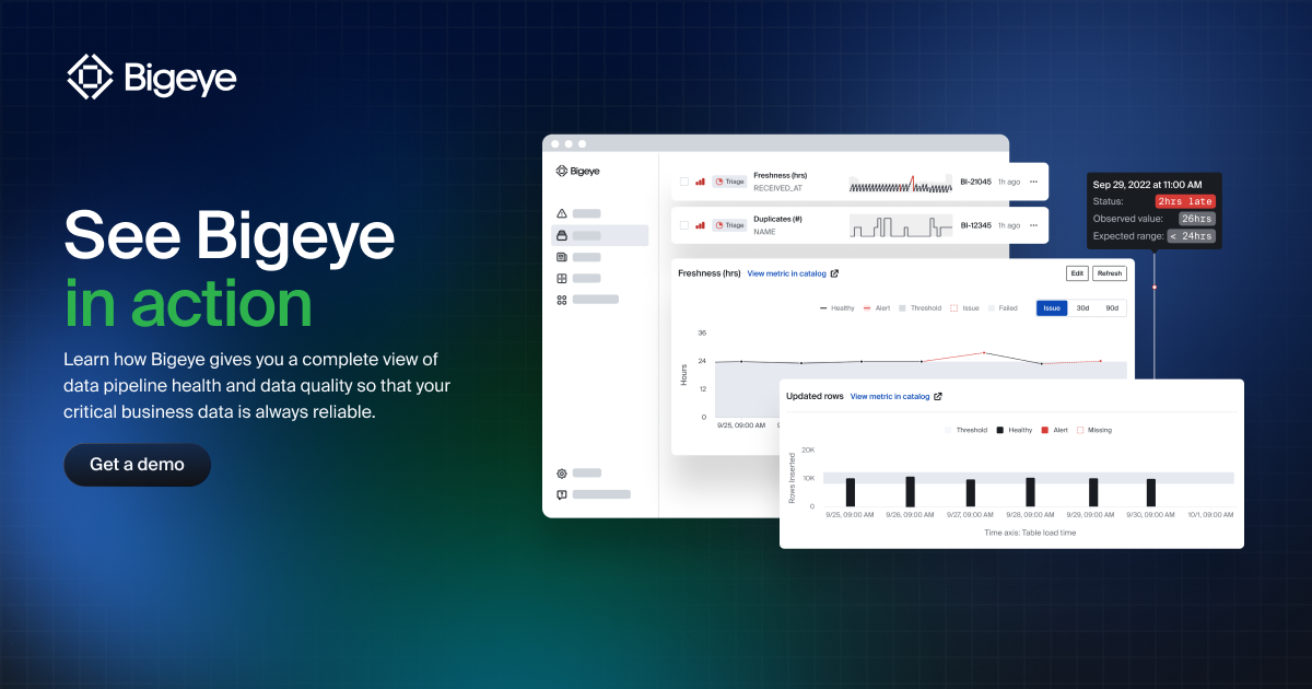 Bigeye Request A Demo