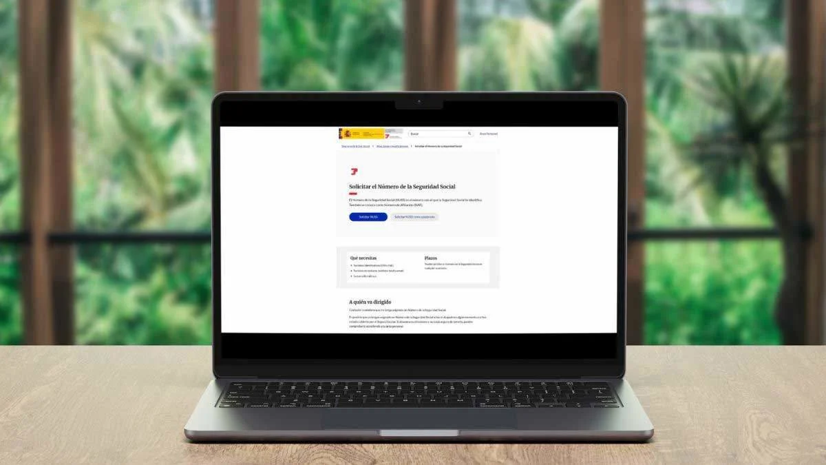 ¿Qué es el NAF y para qué sirve? - Asesorae