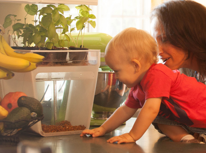 Photo Credit: Kickstarter