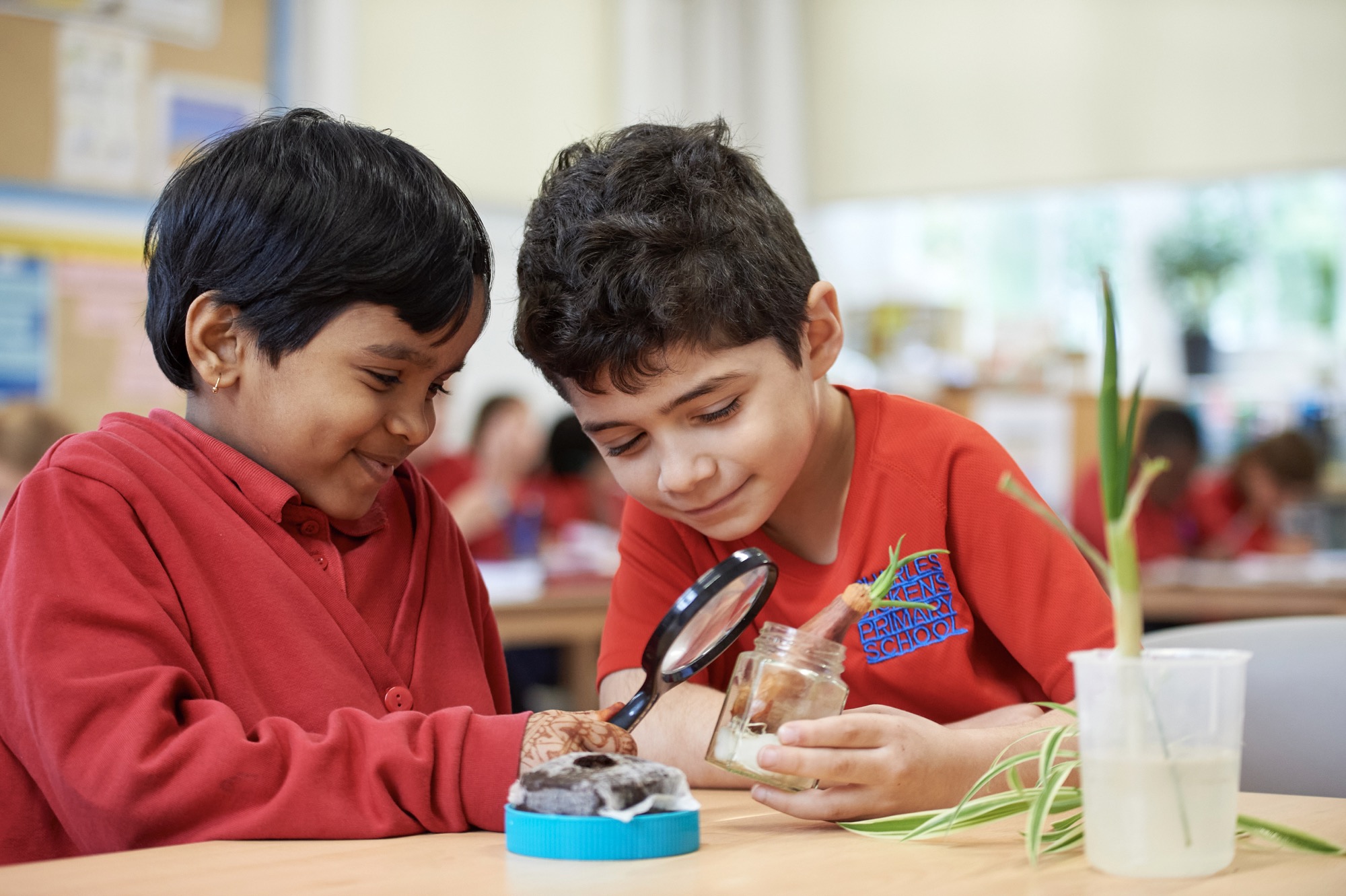 Our Research School - The Charter Trust