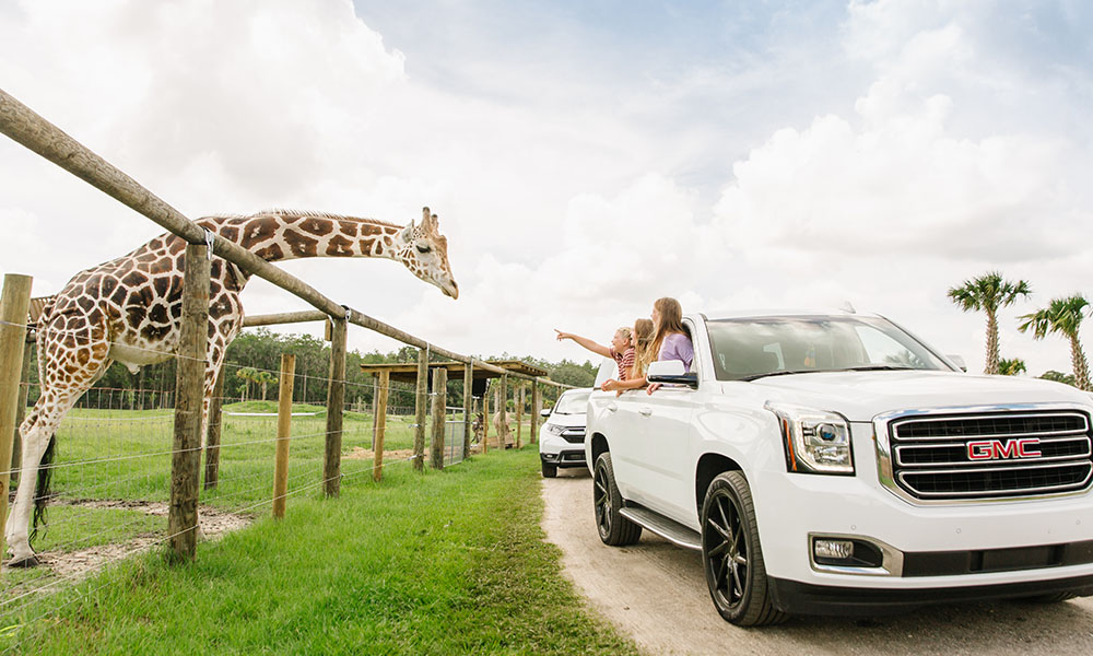 Wild Florida Drive-thru Safari Park | Animal Park | Orlando, FL