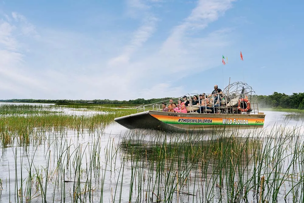 Ride Airboats, Walk our Gator Park, Drive-through our Safari | Wild Florida