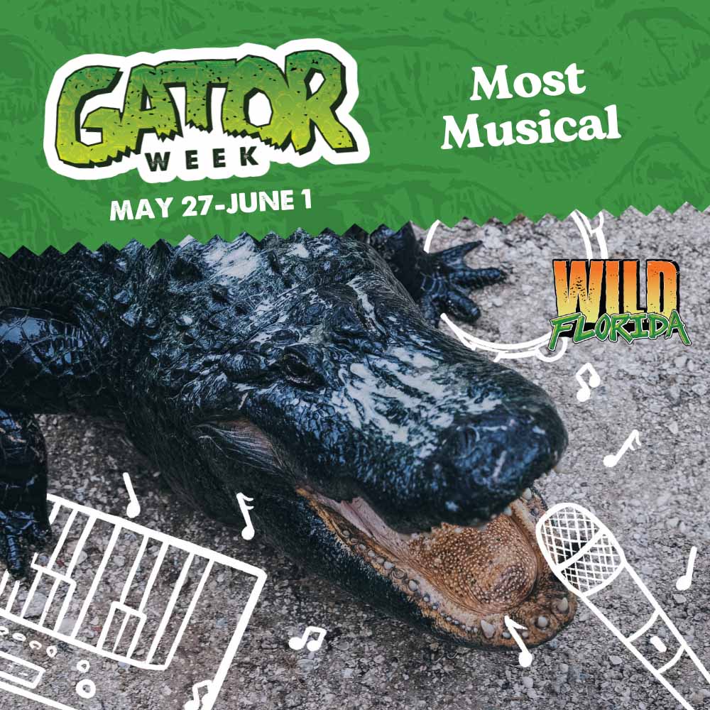 Gator Week