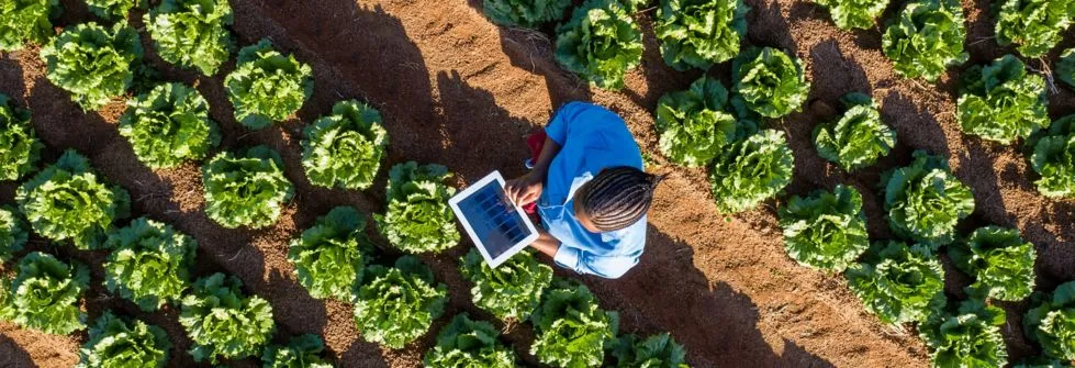 Unlock Superior SAP VISTEX Access at SAP Vista: Your Top Choice for SAP ...