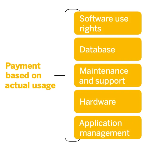 Navigate SAP Licensing with Expert Insights | Understand SAP License Models