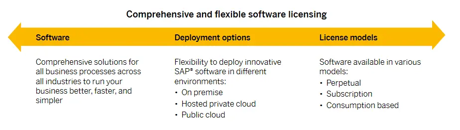 Navigate SAP Licensing with Expert Insights | Understand SAP License Models