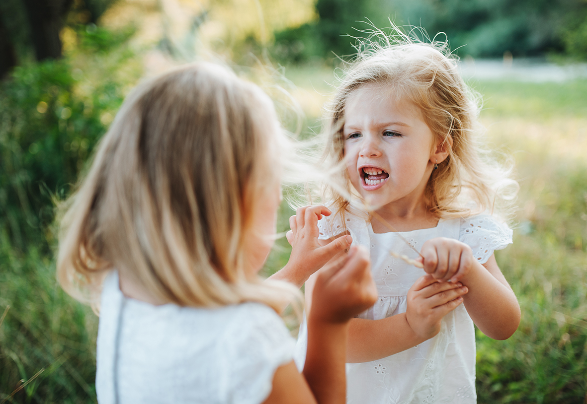 Exploring the Root Causes of Sibling Rivalry Exploring the Root Causes of Sibling Rivalry