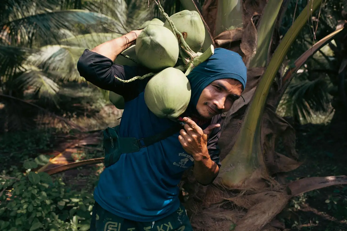 Fountain of Youth Coconut Water | The Golden Temple
