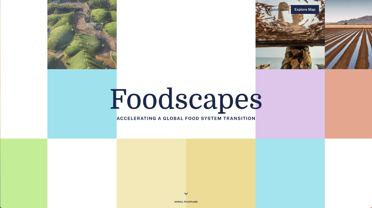 Foodscapes.