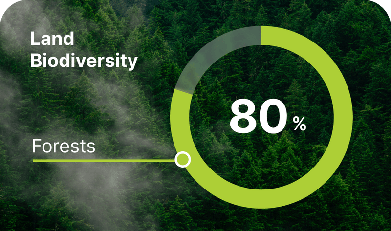 Global Forest Watch.