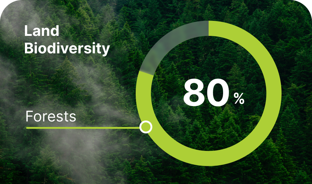 Global Forest Watch.