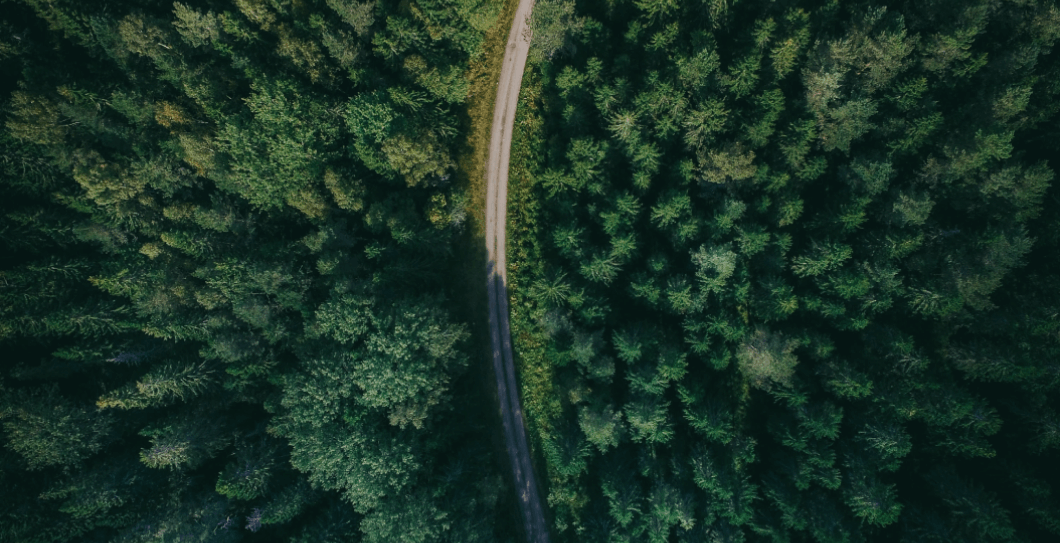 Mongabay Data Journalism Tools.