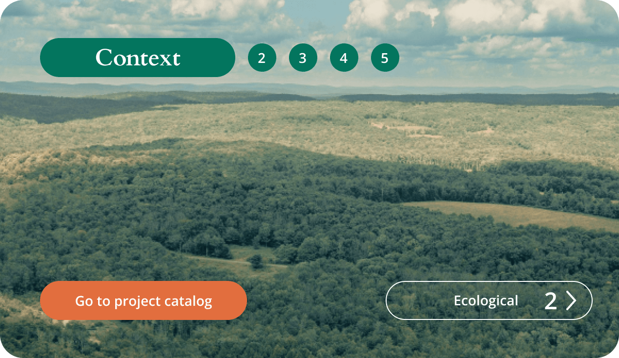 Mongabay Data Journalism Tools.
