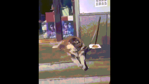 KOPE | Our Company - About