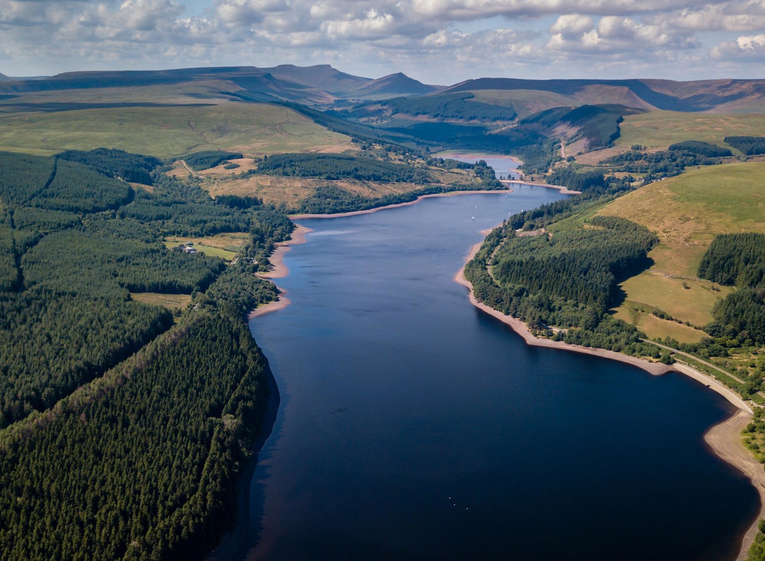 Water Plus - Case Study | Custerian