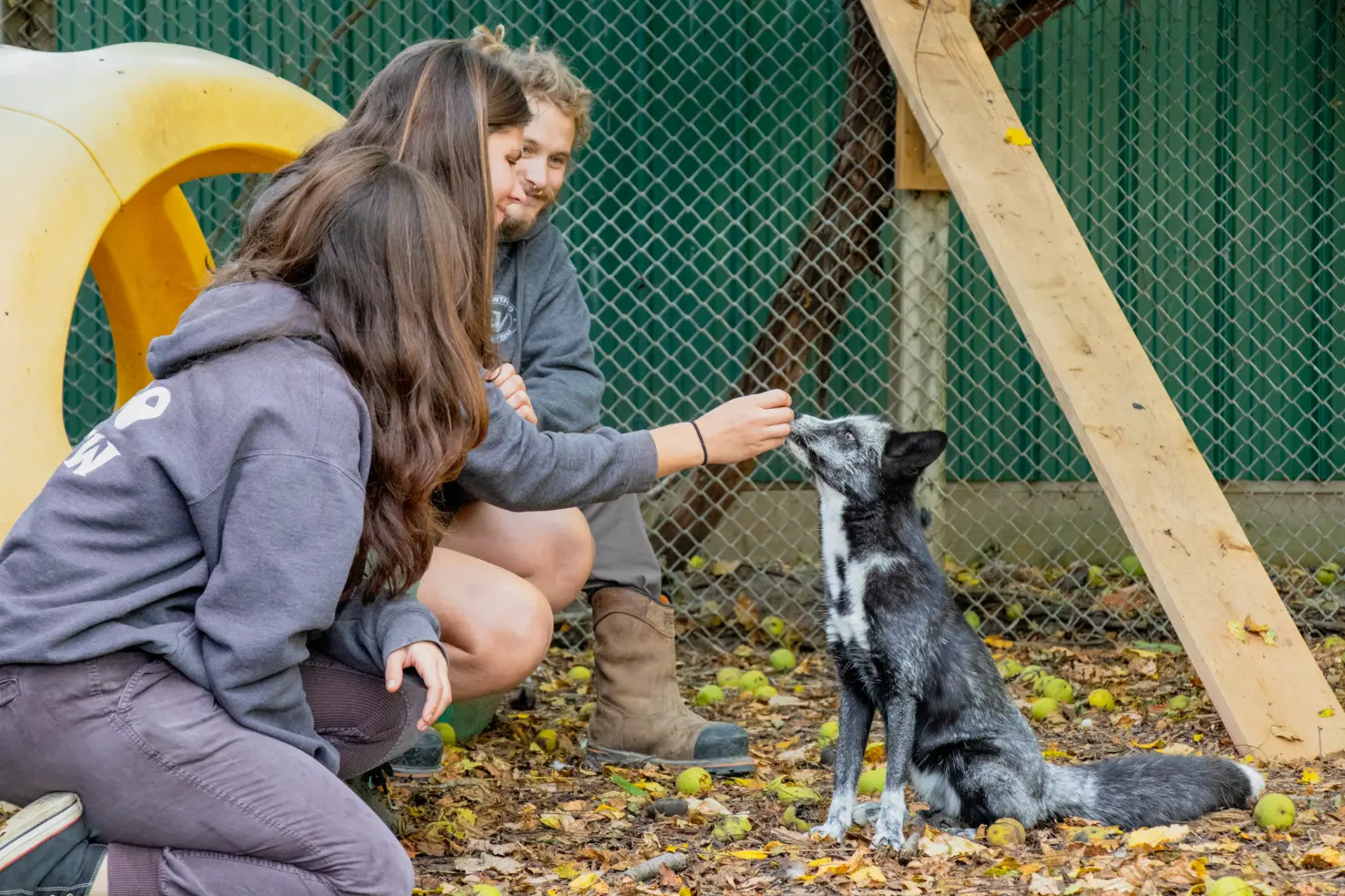 Our Animals - Meet over 400 Animals & 70+ Species | Twin Valley Zoo