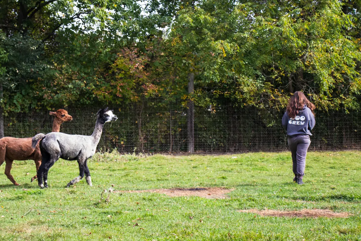 Our Animals - Meet over 400 Animals & 70+ Species | Twin Valley Zoo