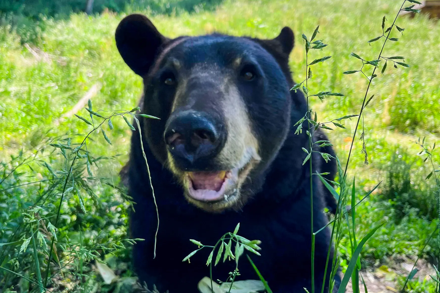 About Us - Discover Our Journey | Twin Valley Zoo