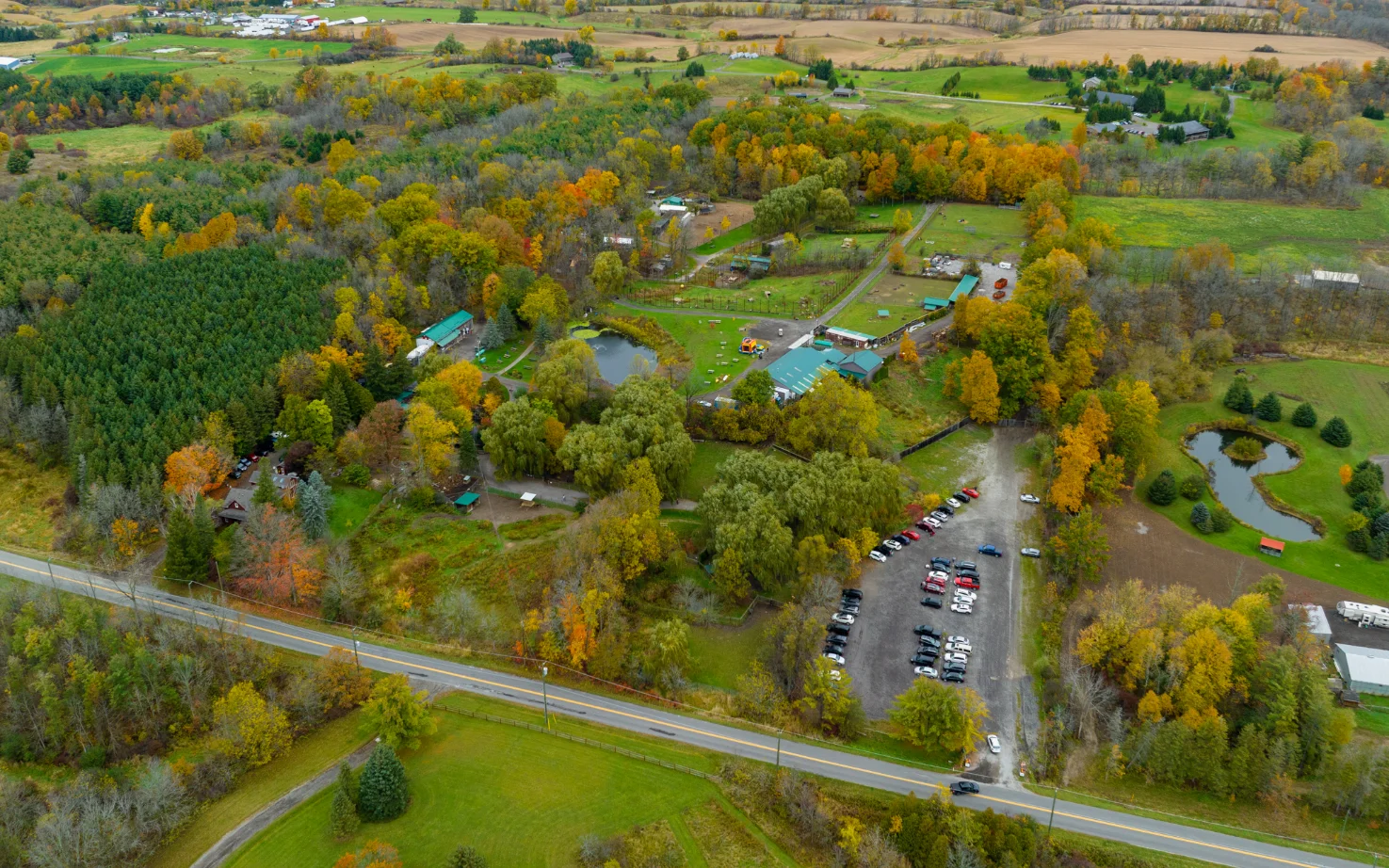Our Animals - Meet over 400 Animals & 70+ Species | Twin Valley Zoo
