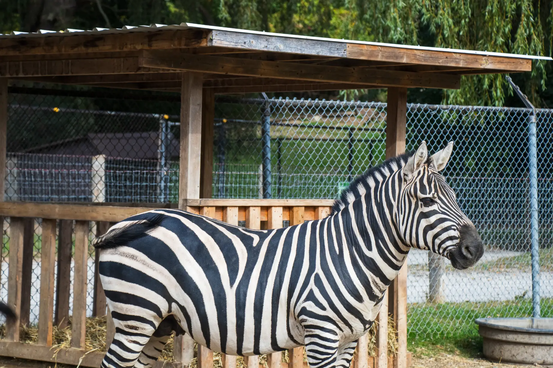 Twin Valley Zoo | Brantford's #1 Thing to Do