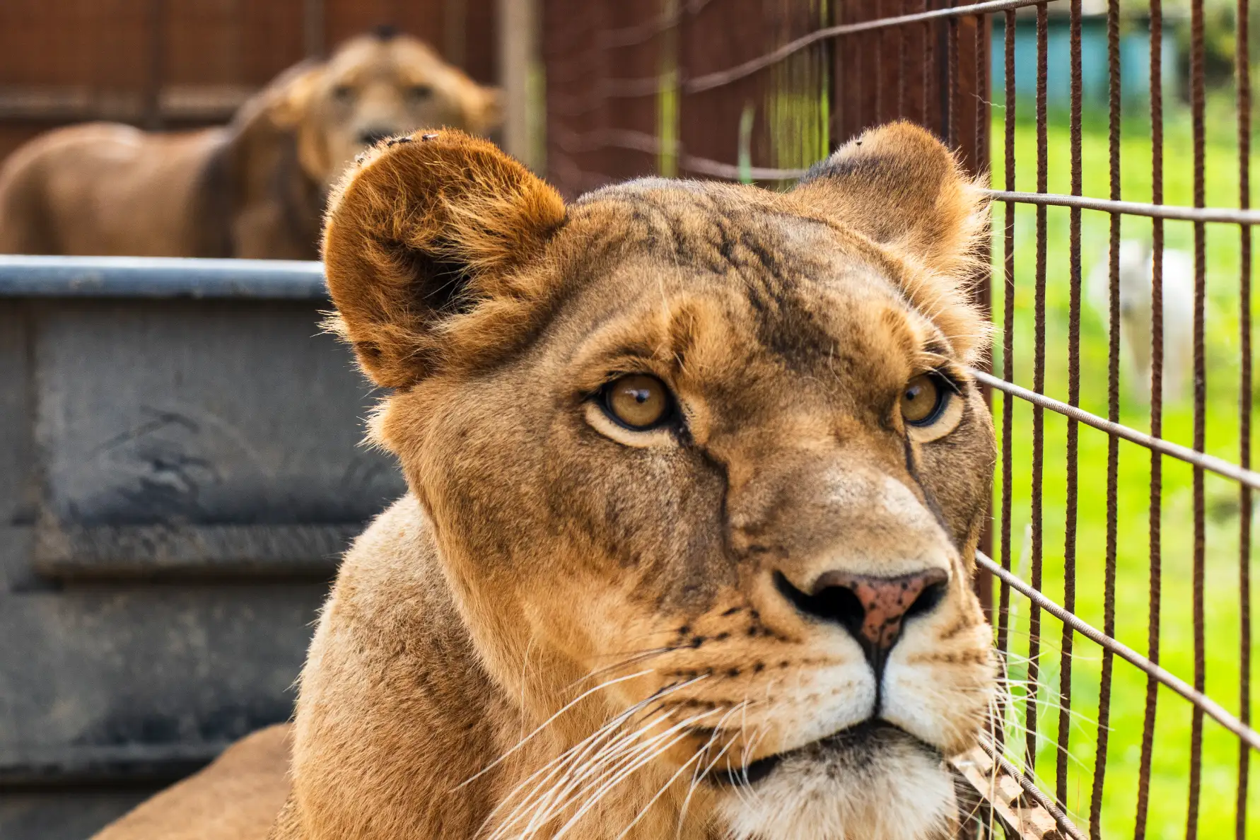 Twin Valley Zoo | Brantford's #1 Thing to Do