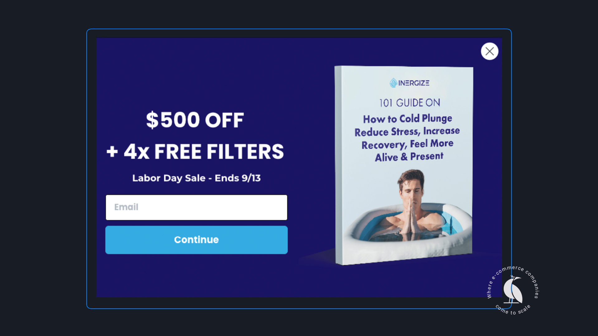 5 Simple Pop-Ups You Can Use to Convert Visitors Into Customers for ...