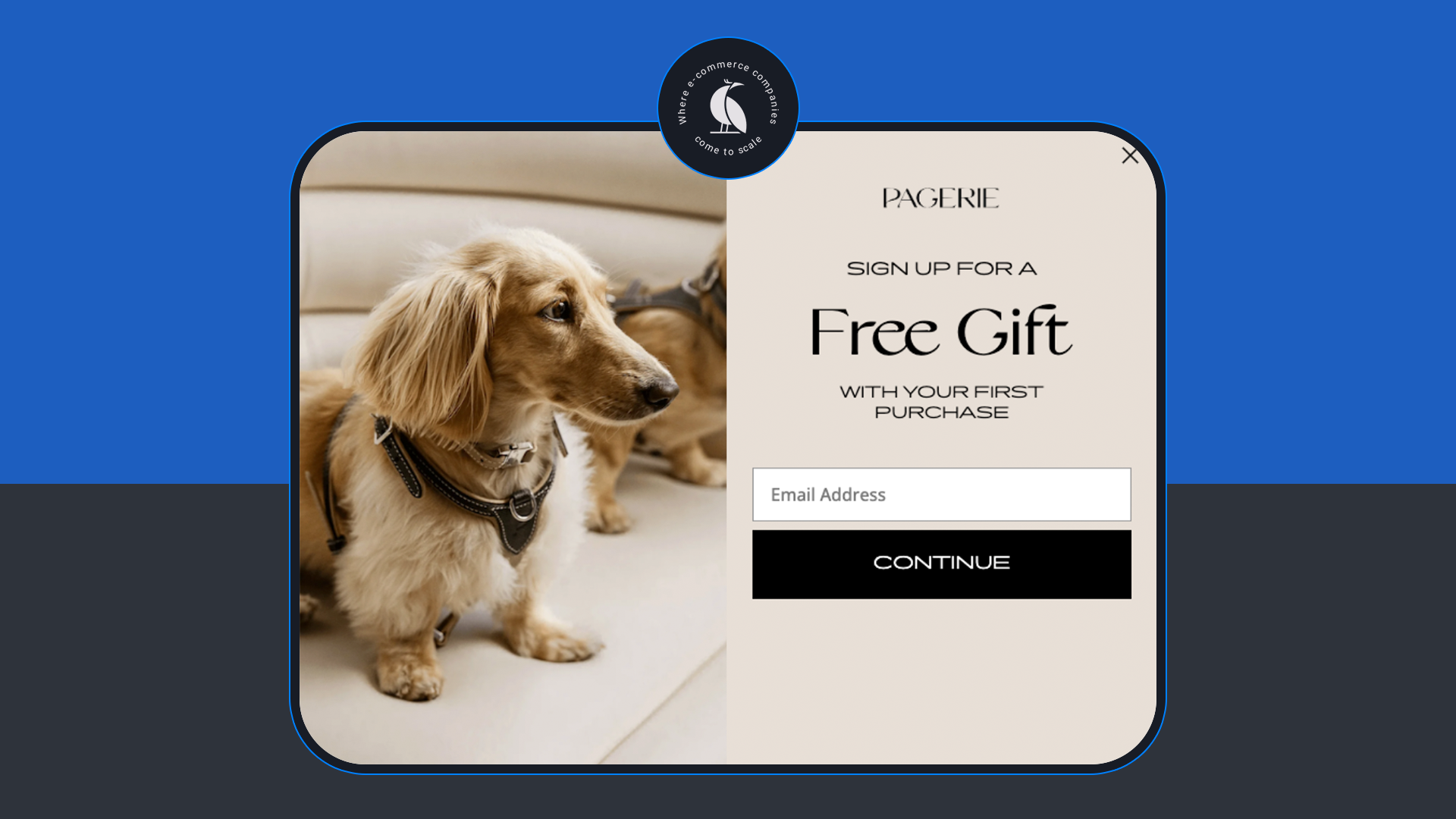 5 Simple Pop-Ups You Can Use to Convert Visitors Into Customers for ...
