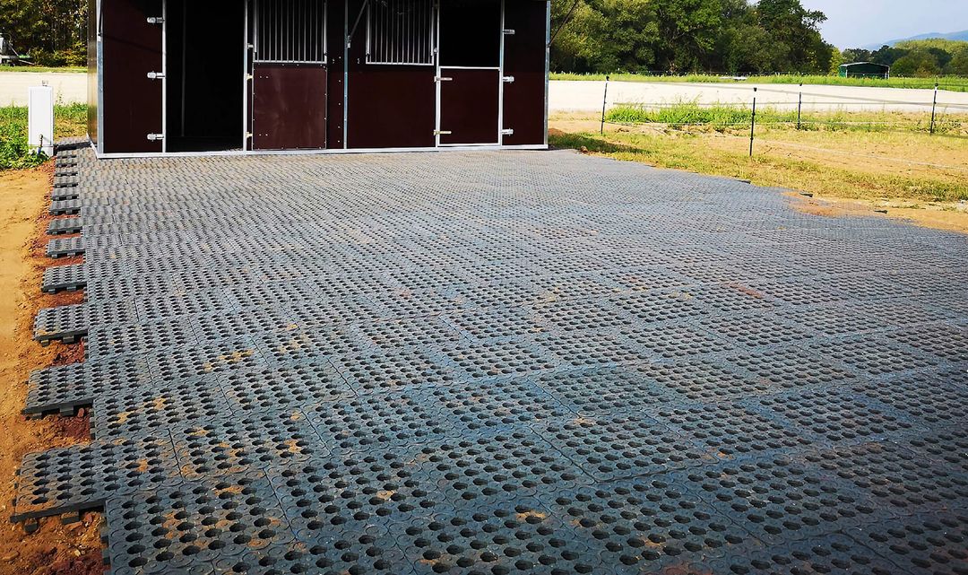 Mudgrids - Our Product