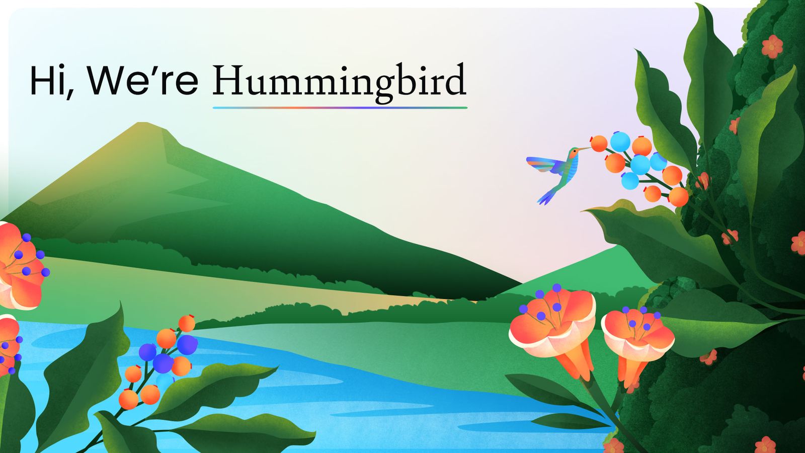 HustleJar - Hummingbird Healthcare (Case Study)
