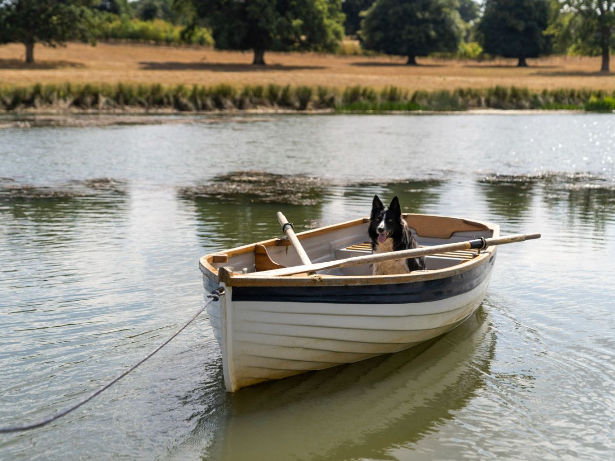 Duchess Rowing Boat - Heyland Marine
