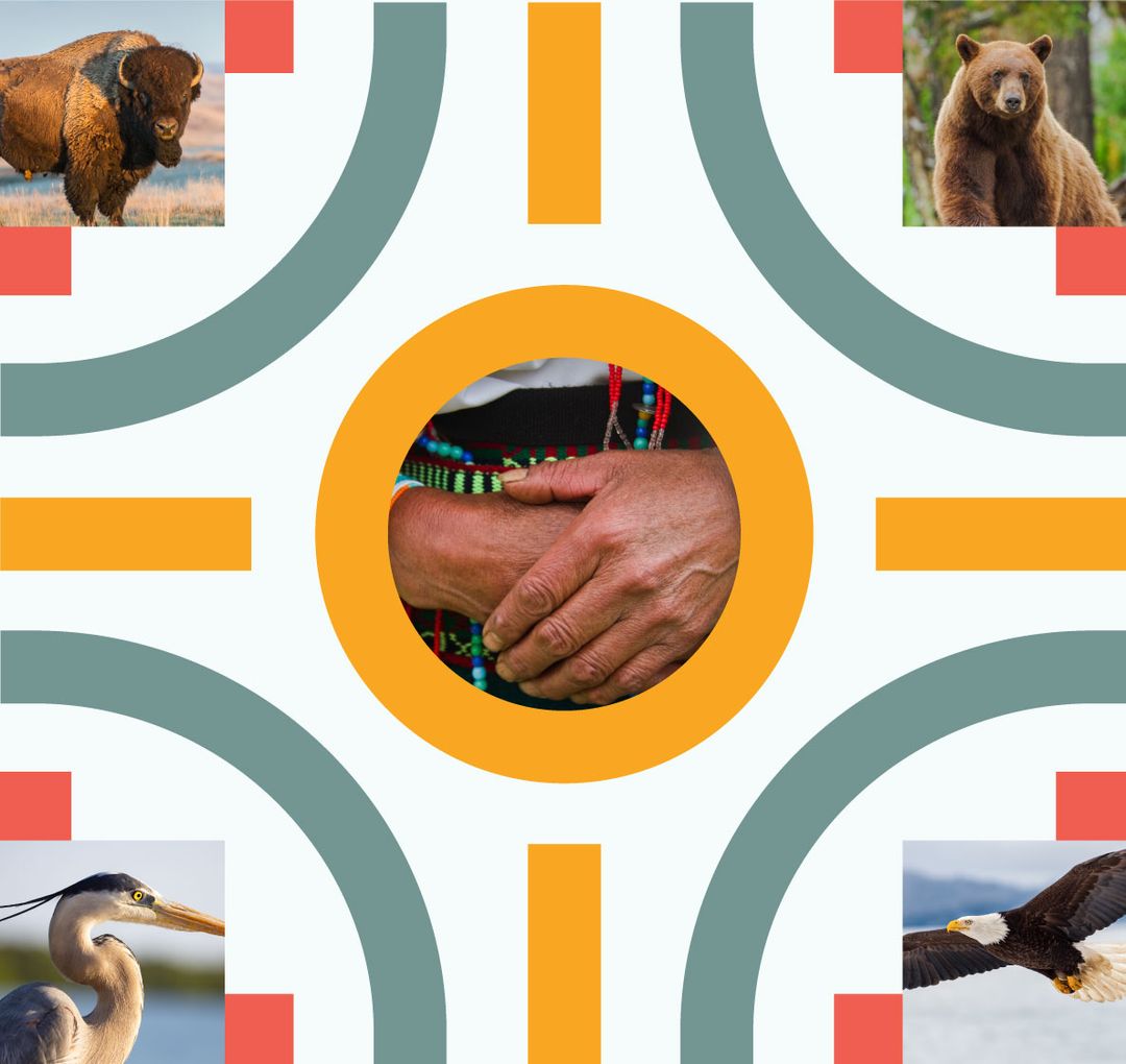 Scout Engineering and Consulting Ltd. | Putting Indigenous Futures First