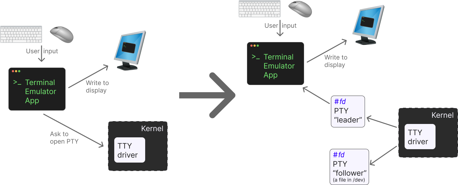What happens when you open a terminal and enter ‘ls’ | Warp