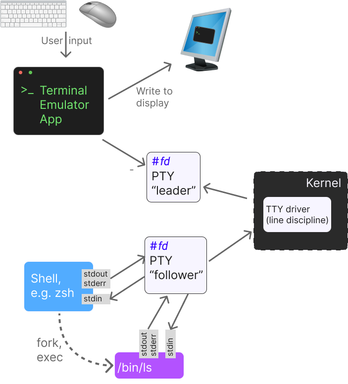 What happens when you open a terminal and enter ‘ls’ | Warp