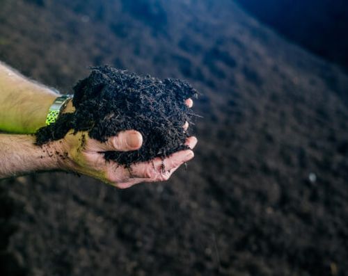 Green Waste Processing & Composting | Sustainable Solutions