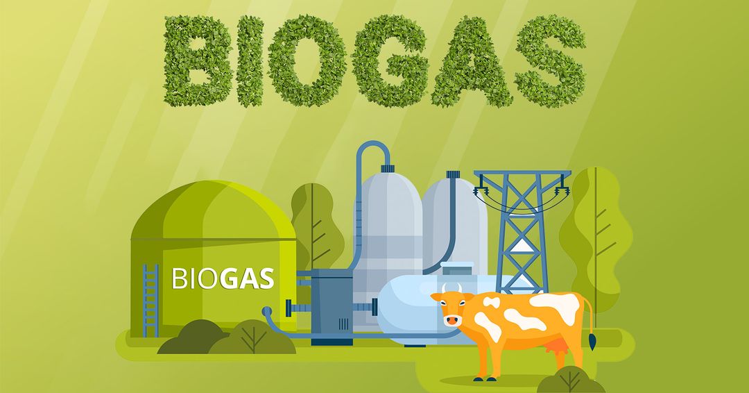 What is Biogas? | All You Need to Know