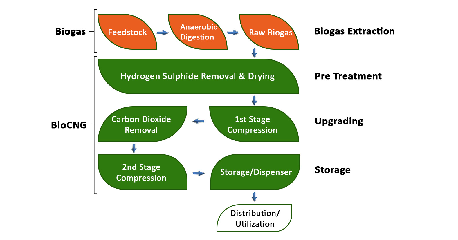 Bio CNG: A Sustainable Energy Solution