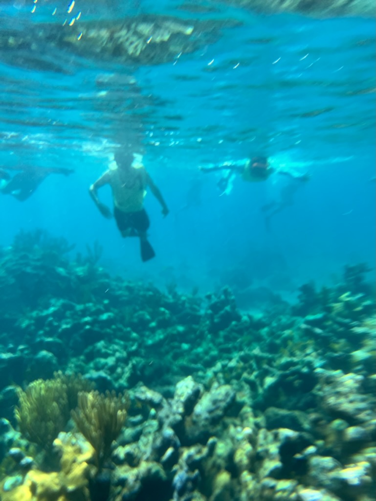 Explore Destination Details on Snorkeling at Princess Cays