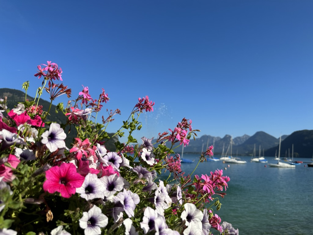 Explore Destination Details on Saint Gilgen