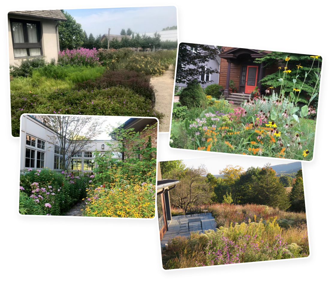 GardenerMatch | Hire a Local Gardener