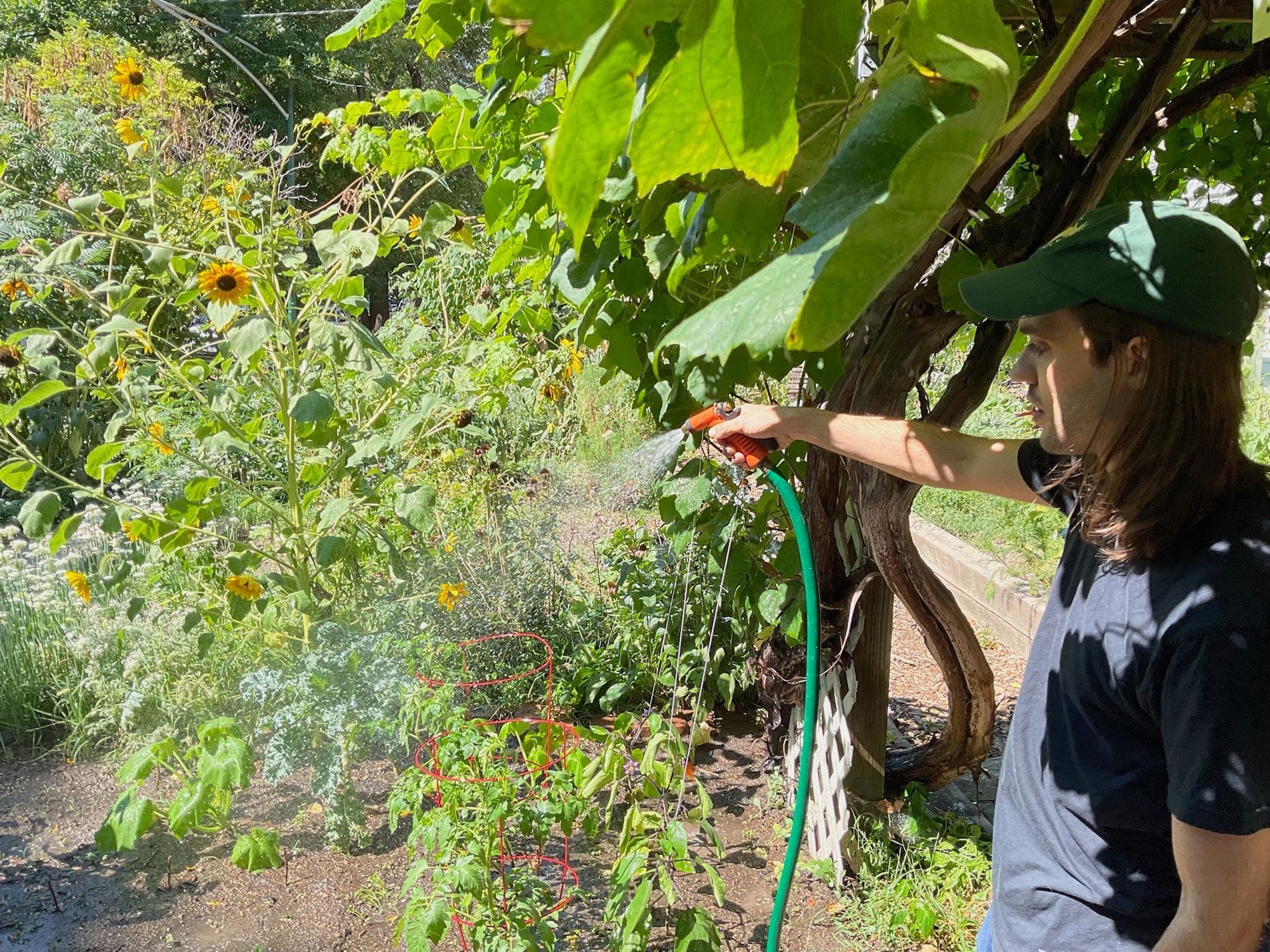 GardenerMatch | Hire a Local Gardener