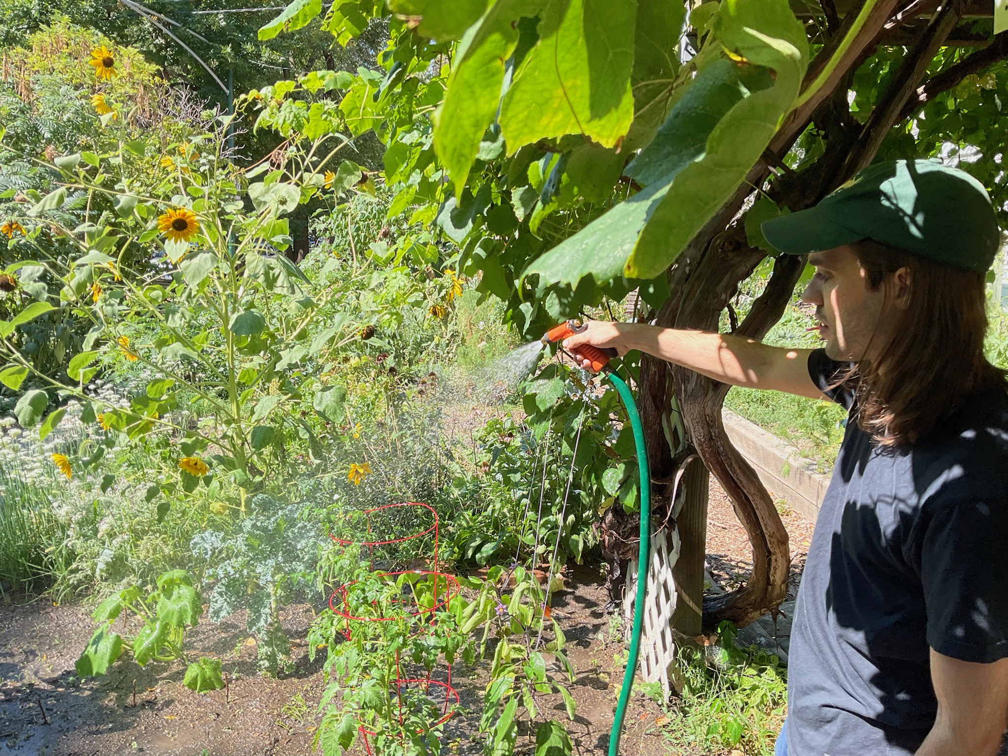 GardenerMatch | Hire a Local Gardener