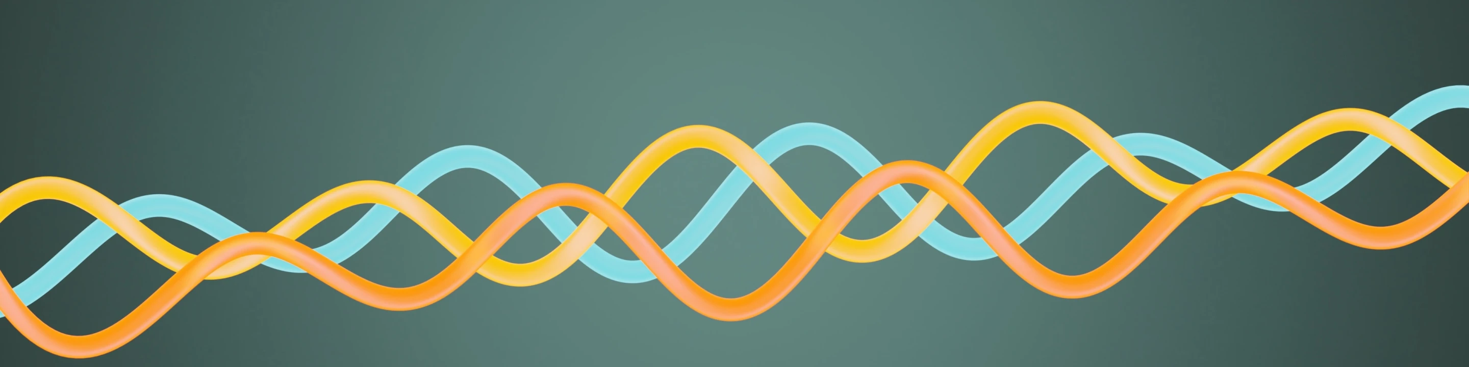 Python and Biosignals: Use Cases and Best Practices | Proxet