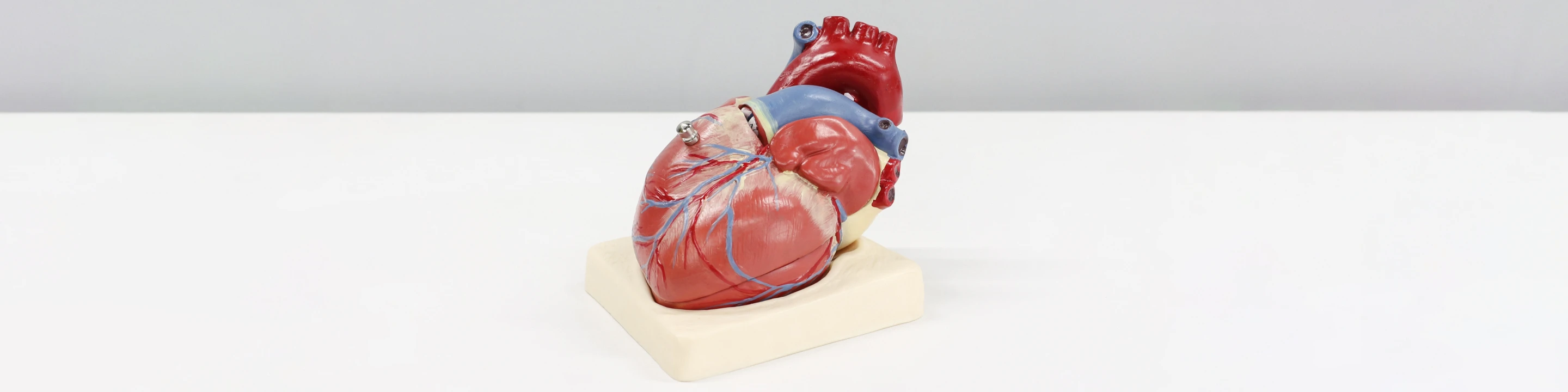 How to Use Voice Recognition in Heart Disease Detection | Proxet