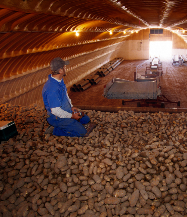 Investor Information | Cellar Insights