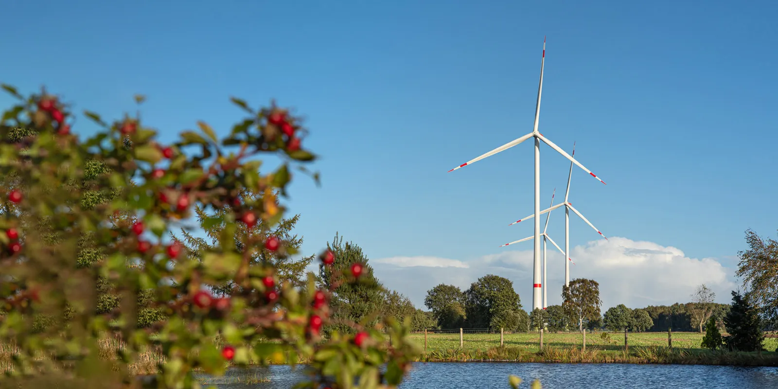 About ENERCON | Energy for the world | company and management