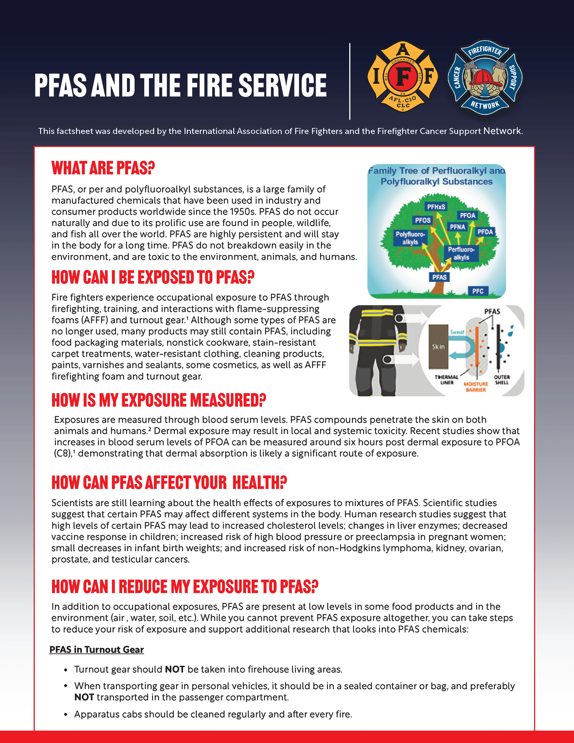 Week 1: The Scope - Firefighter Cancer Support Network