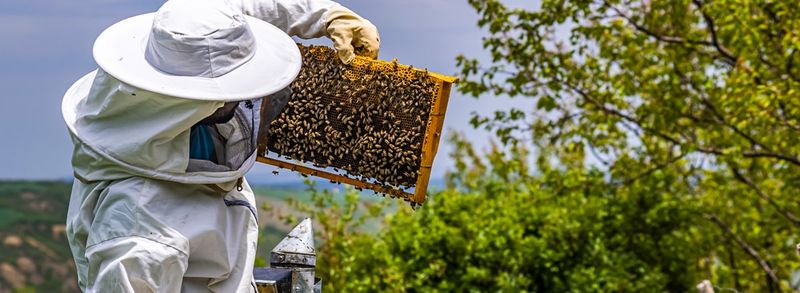 Beekeeping Training Courses by BeeQuipmentSA